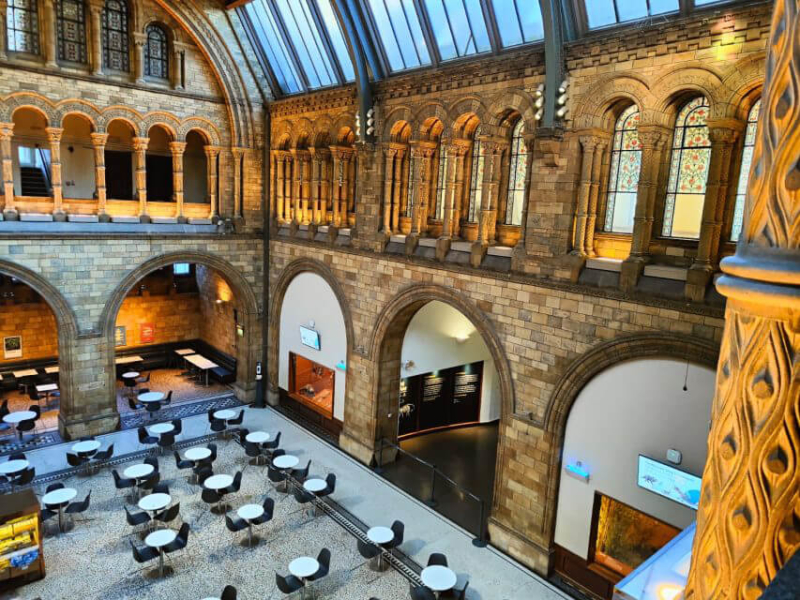 NHM upgrade | smart boards, speakers, 4K screens & conferencing